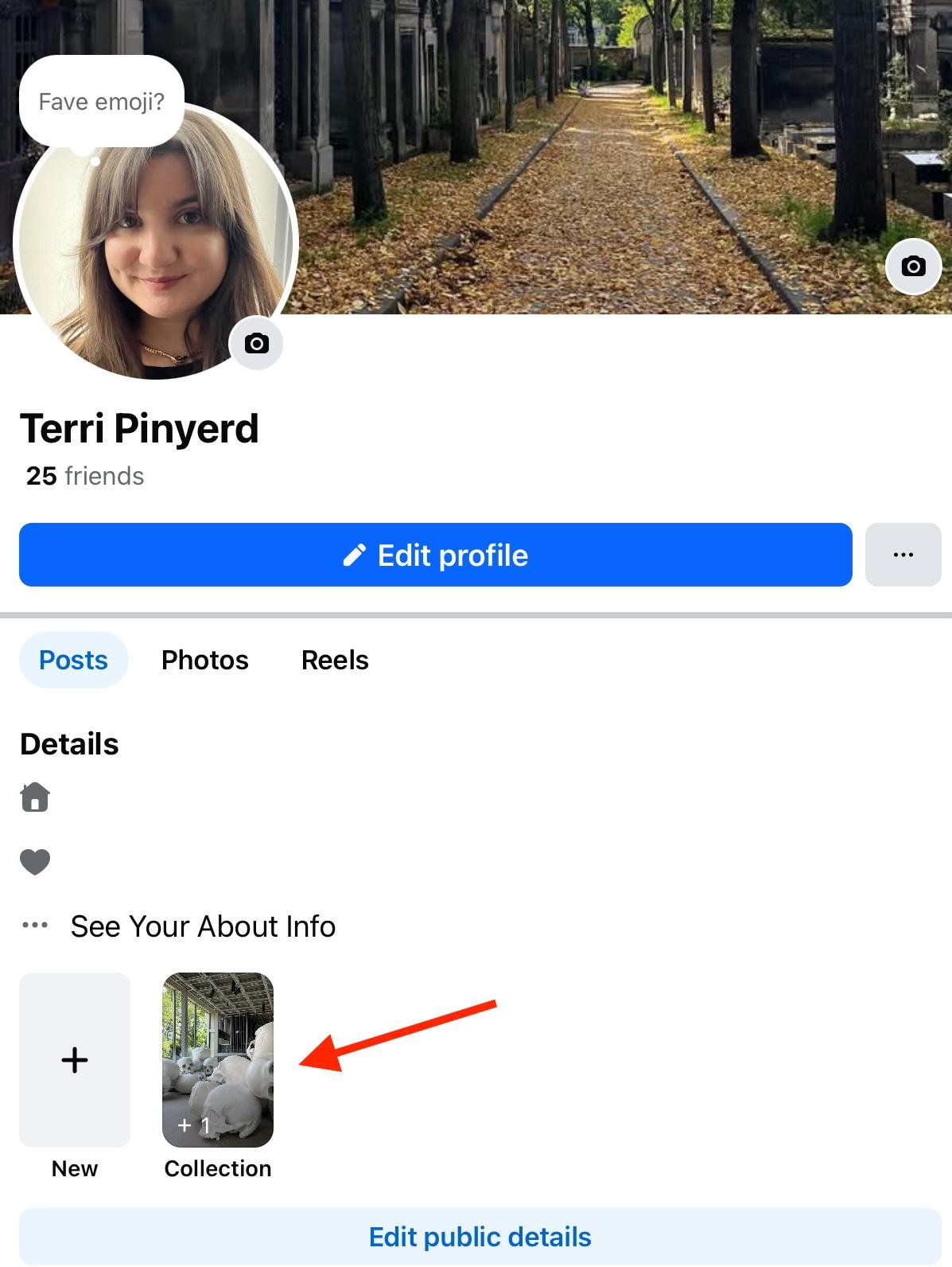 Can You See Your Featured Collections Viewers On Facebook?